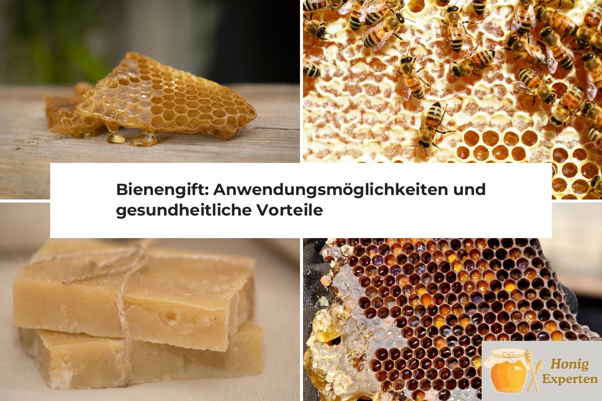 Bienengift: Anwendungsmöglichkeiten und gesundheitliche Vorteile ...