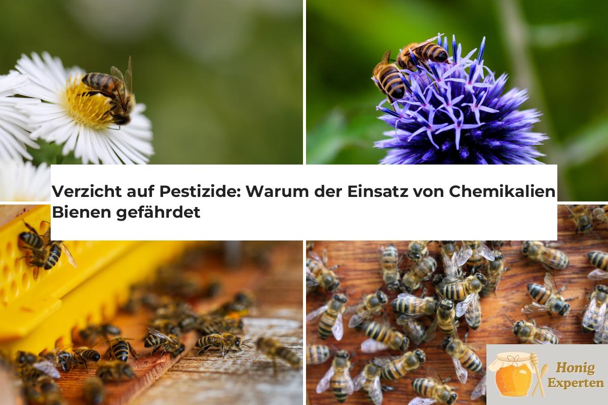 Verzicht auf Pestizide: Warum der Einsatz von Chemikalien Bienen ...